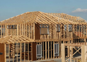 Steel or Timber Frame Comparison